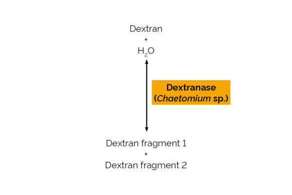 Dextranase chaetomium sp Enzyme | Megazyme