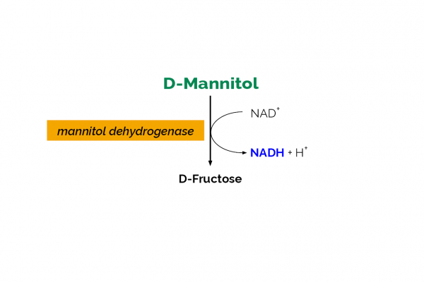 D-Mannitol Assay Kit | Megazyme