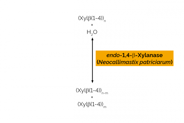 endo-1-4-beta-Xylanase Neocallimastix patriciarum Enzyme | Megazyme