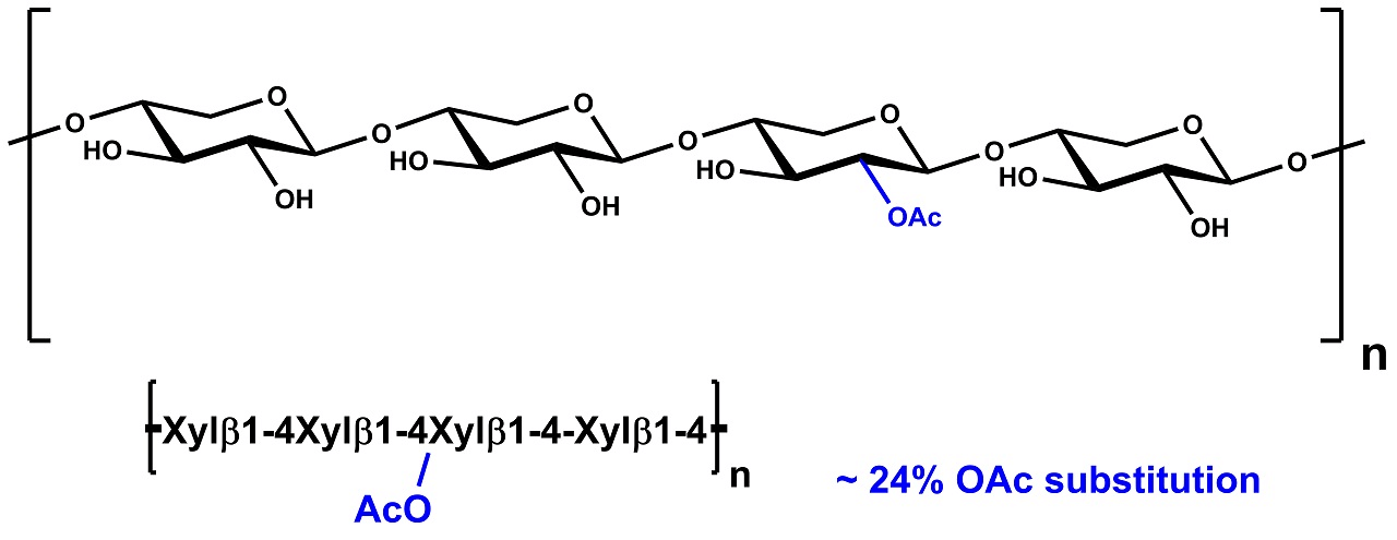Xylan Birchwood partially acetylated | Megazyme