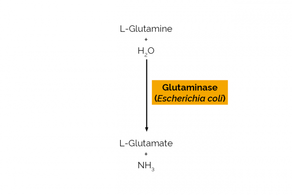 Glutaminase Escherichia coli Enzyme | Megazyme