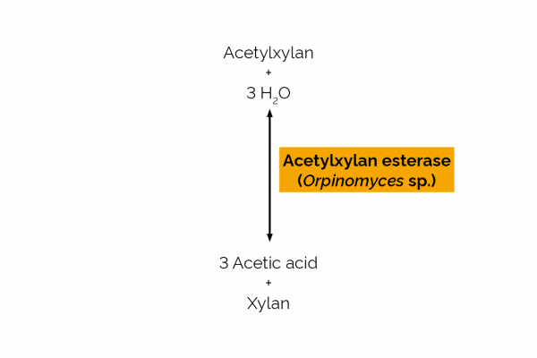 Acetylxylan esterase Orpinomyces sp Enzyme | Megazyme