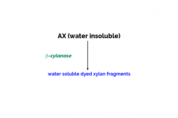 Xylanase Assay Kit Xylazyme AX - Measurement of Xylanase | Megazyme