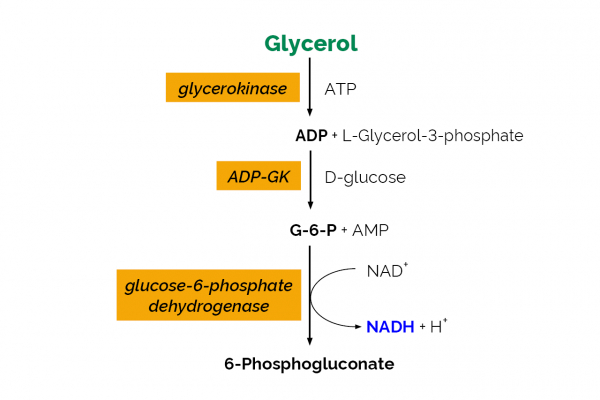 Glycerol GK Assay Kit - Buy Glycerol GK Test Kit for Analysis | Megazyme