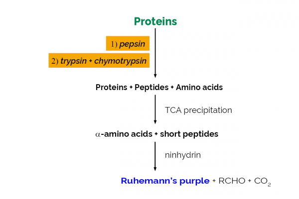 Protein Digestibility Assay Kit - ASAP - Quality Score Method | Megazyme