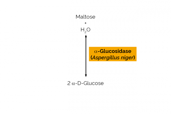 alpha-Glucosidase Aspergillus niger Enzyme | Megazyme