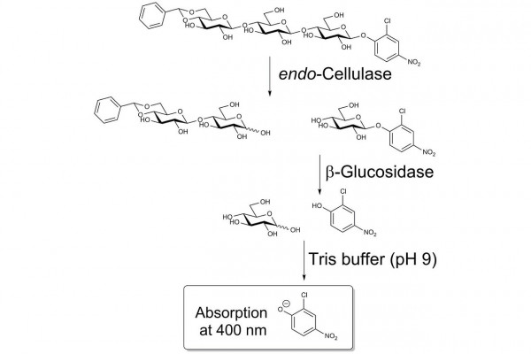 Endo-Cellulase Assay Kit - Measurement of cellulase | Megazyme