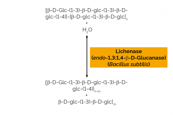 Lichenase endo-1-3-1-4-beta-D-Glucanase Bacillus subtilis | Megazyme