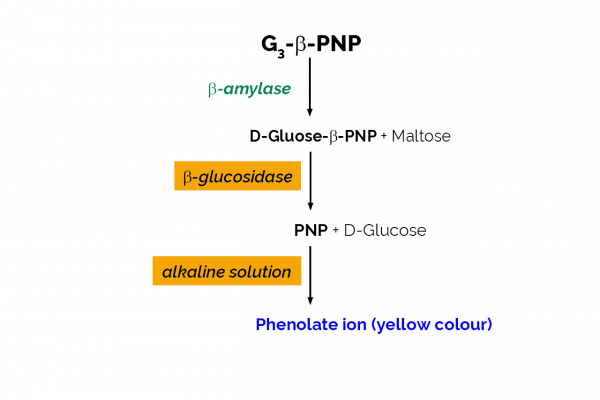 Beta-Amylase Assay Kit Betamyl-3 - Analysis of Beta-Amylase | Megazyme