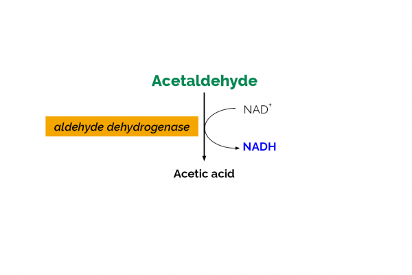 Acetaldehyde Assay Kit Analysis Food - Buy Acetaldehyde | Megazyme