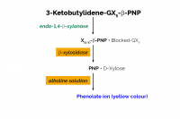 Xylanase Assay Kit XylX6 Method | Megazyme
