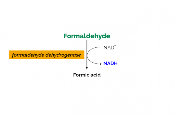 Formaldehyde Assay Kit - Buy for analysis of Formaldehyde | Megazyme