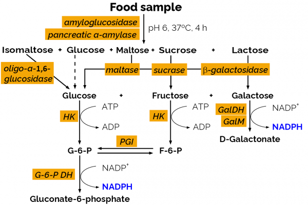 Available Carbohydrates Assay Kit - Available Carbohydrates ...