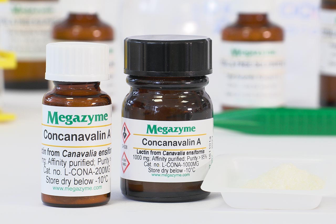 Concanavalin A Con A Lectins | Megazyme