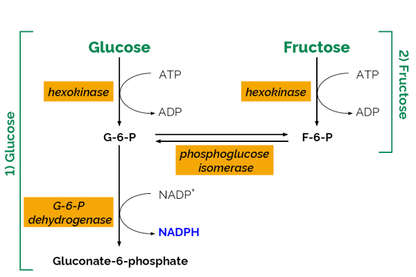 D-Fructose D-Glucose Assay Kit - Liquid Ready | Megazyme