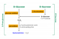 Sucrose D-Glucose Assay Kit - 250 Assays | Megazyme