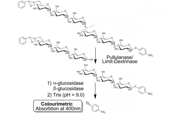 Pullulanase Limit-Dextrinase Assay Kit - PullG6 Method | Megazyme