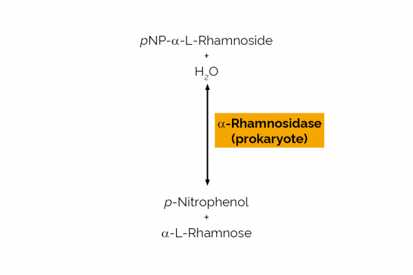 alpha-Rhamnosidase prokaryote Enzyme | Megazyme