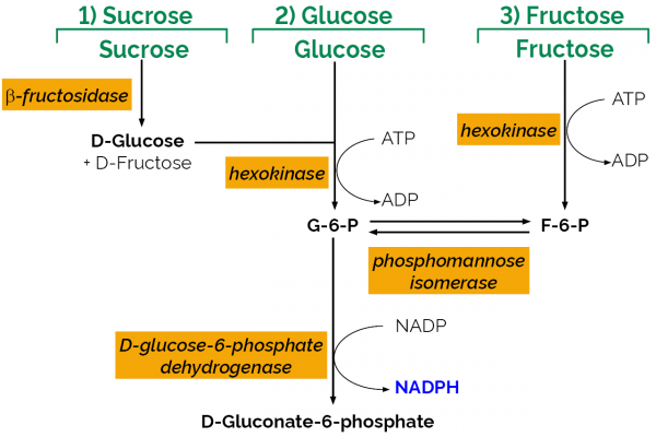 Sucrose Fructose D-Glucose Assay Kit - 300 Assays | Megazyme