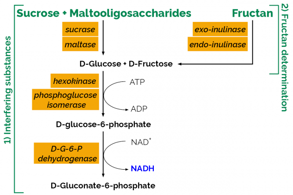 Fructan HK Assay Kit - Measurement of fructo oligosaccharides | Megazyme