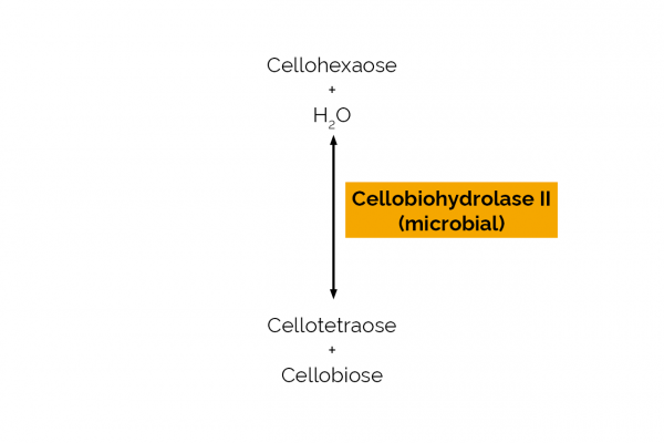 Cellobiohydrolase II microbial Enzyme | Megazyme