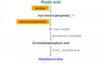 Phytic Acid Assay Kit - Analysis | Megazyme