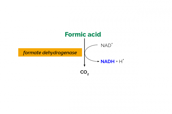 Formic Acid Assay Kit - Buy for analysis of Formic Acid | Megazyme
