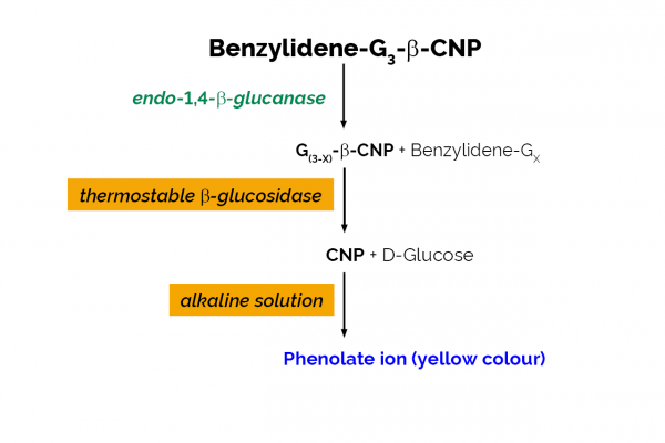 Endo-Cellulase Assay Kit - Measurement of cellulase | Megazyme