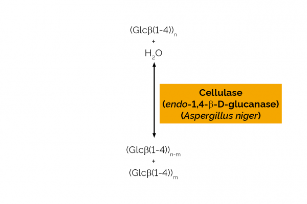 Cellulase endo-1-4-beta-D-glucanase Aspergillus niger Enzyme | Megazyme