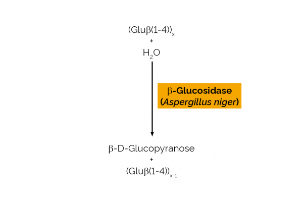 beta-Glucosidase Aspergillus niger Enzyme | Megazyme