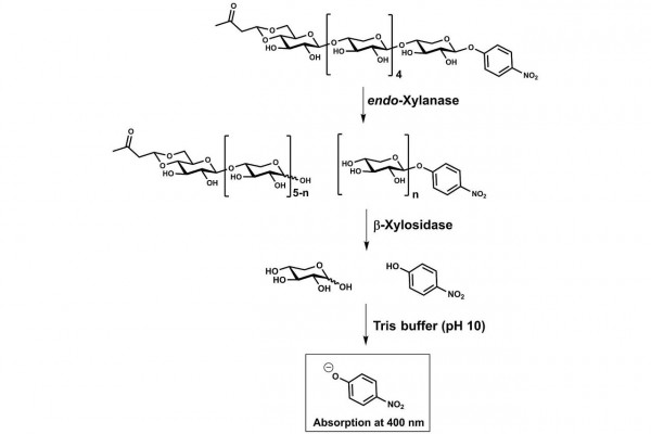 Xylanase Assay Kit XylX6 Method | Megazyme