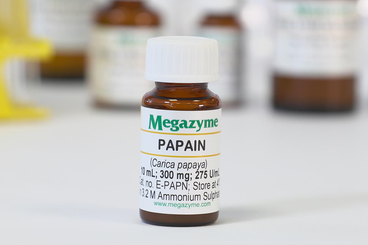 Papain Carica papaya Enzyme | Megazyme