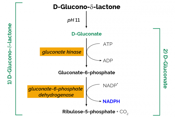 D-Gluconic D-Glucono delta lactone Assay Kit - gluconic acid | Megazyme