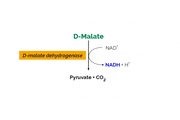 D-Malic Acid Assay Kit Buy - Measurement of D-Malic Acid | Megazyme