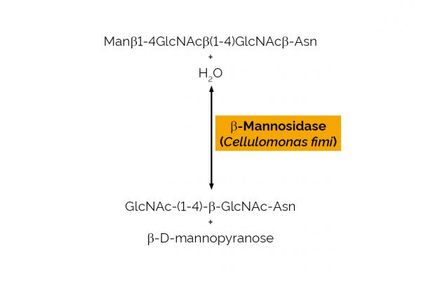 beta-Mannosidase Cellulomonas Fimi Enzyme | Megazyme