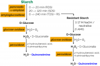 Digestible and Resistant Starch Assay Kit - Starch Determination | Megazyme